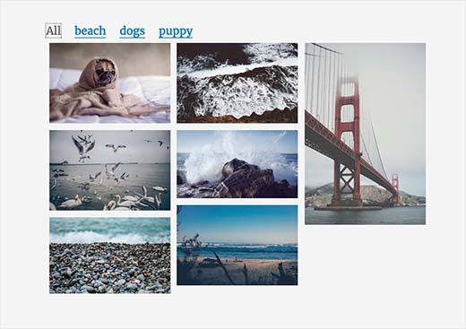 How To Add Categories And Tags To WordPress Media Library Beginning 