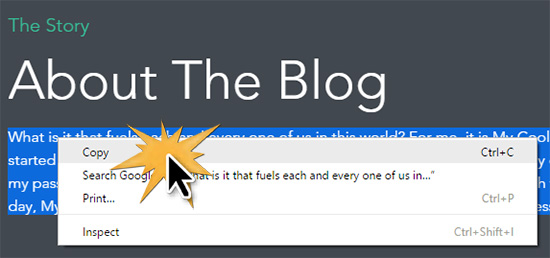 How to Properly Switch From Wix to WordPress (Step by Step) - Sheila Martin's Blog