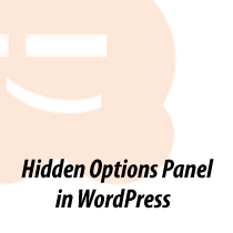 Hidden Secret Options Panel within your WordPress Admin Panel
