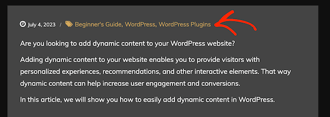 How to Display Only Child Category in WordPress Post Loop
