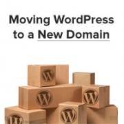 How to Properly Move WordPress to a New Domain Without Losing SEO