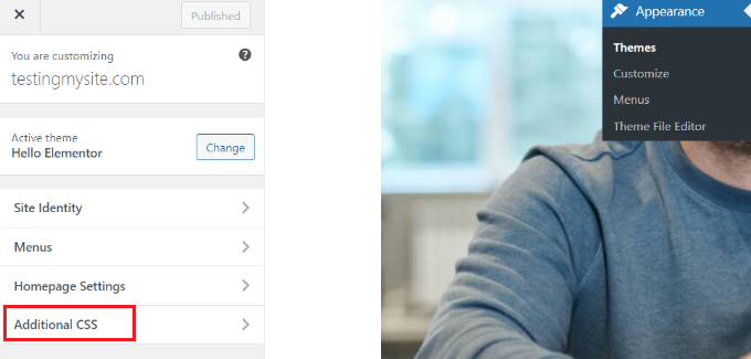 Custom Css For Wordpress Theme QuyaSoft