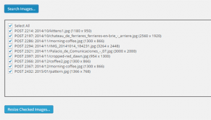 How to Bulk Resize Large Images in WordPress