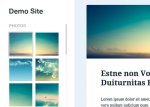 How to Add Custom Scrollbar to Any Element in WordPress