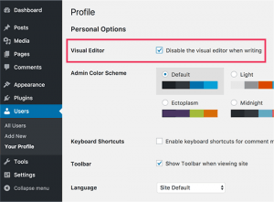 How to Remove Visual Editor Mode in WordPress