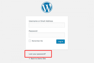 How to Change Your Password in WordPress (Beginner's Guide)