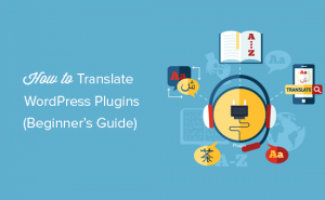 How to Translate a WordPress Plugin in Your Language
