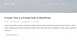 How to Create a Private Post in WordPress