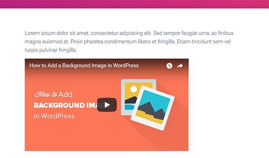 Beginner's Guide: How to Center Align a Video in WordPress