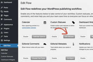 How to Add Custom Post Status for Blog Posts in WordPress