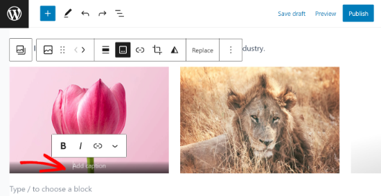 How to Add Caption to Images in WordPress (Beginner's Tutorial)