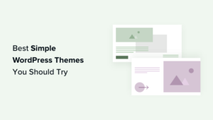 41 Best Simple WordPress Themes You Should Try (2022)