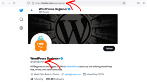How to Display Recent Tweets in WordPress (Step by Step)
