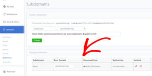 What are Subdomains? (Definition and Examples)