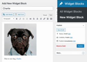 How to use Visual Editor to Create Widgets in WordPress