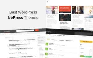 21 Best WordPress Themes for bbPress (2023)