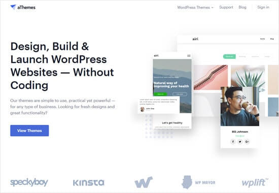 27 Best Commercial WordPress Theme Shops (2022)