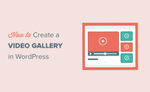 How to Create a Video Gallery in WordPress Step by Step