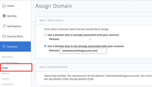 How to Add a Custom Domain Alias for Your WordPress Landing Page