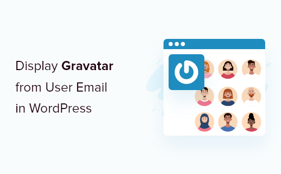 How to Display Gravatar from User Email in WordPress