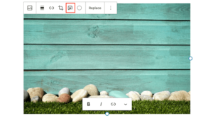 How to Add Text on Top of an Image in WordPress (3 Methods)